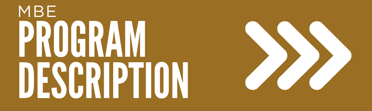 WISDP MBE Program Description